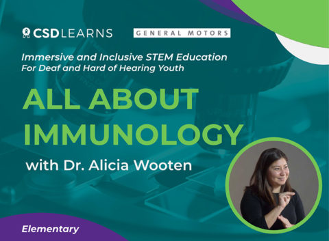 CSD Learns: Online Courses in ASL for Deaf Students