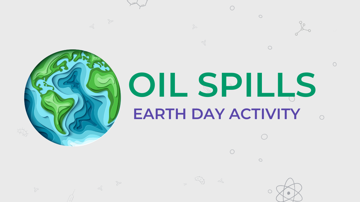 Deaf Ed Classroom Activity: Oil Spills